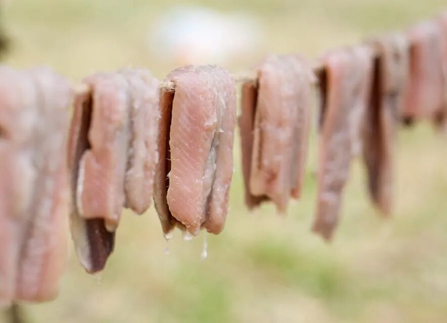 The Fascinating History of Fermentation!