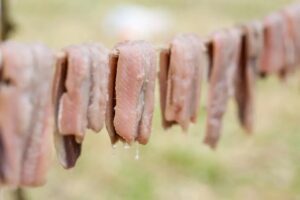 8 Delicious Fermented Fish Examples You Need to Try